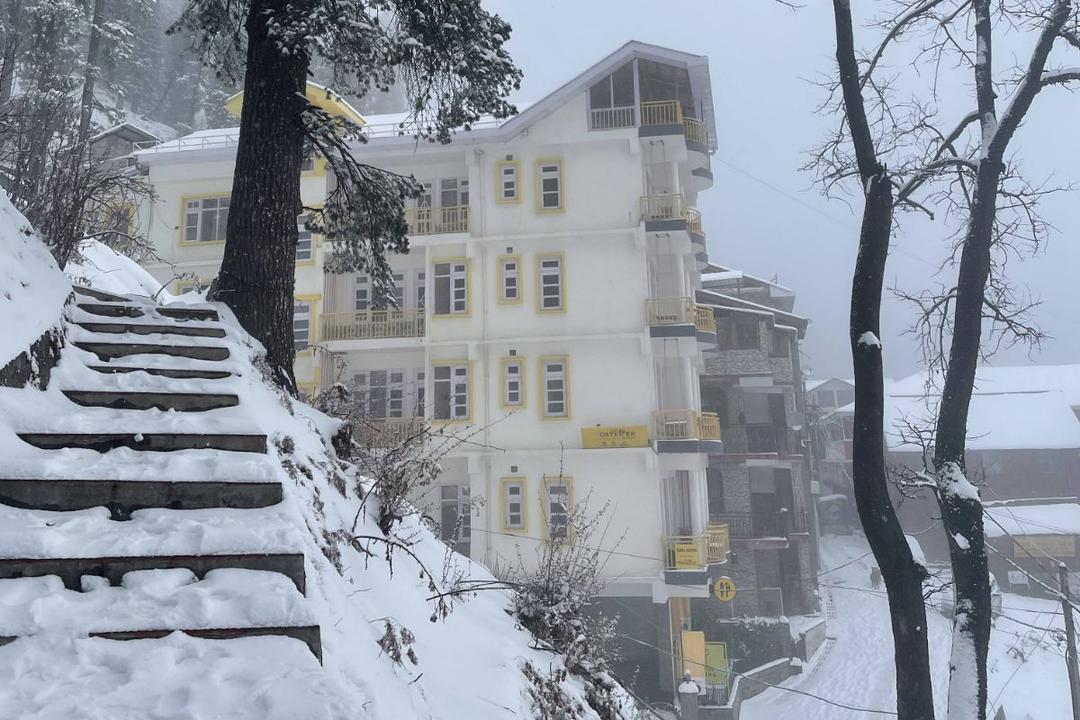 The Hosteller Narkanda | Best backpacker hostel in Narkanda
