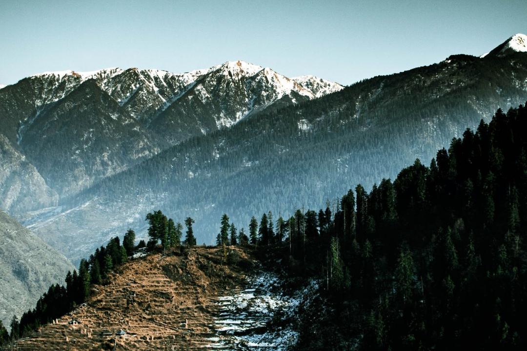 7 Reasons to visit Shoja - A lush paradise in Seraj Valley