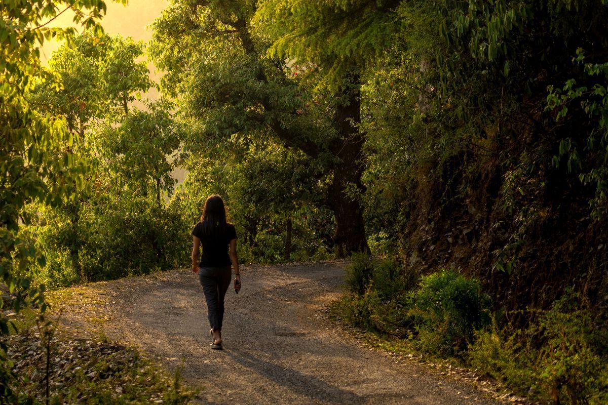 Explore Kareri | Stay at The Hosteller