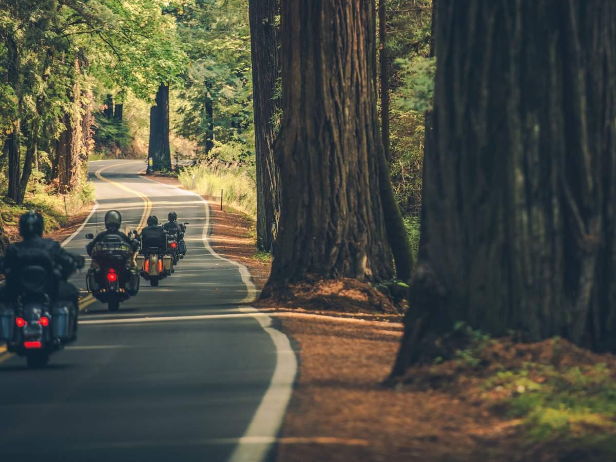 Top 8 biking routes in South India: A rider's paradise