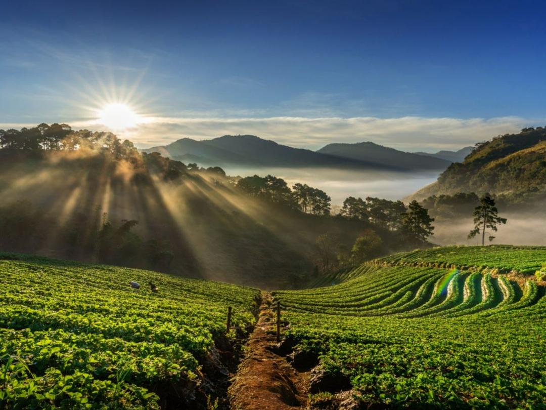 Explore Coorg | Stay at The Hosteller