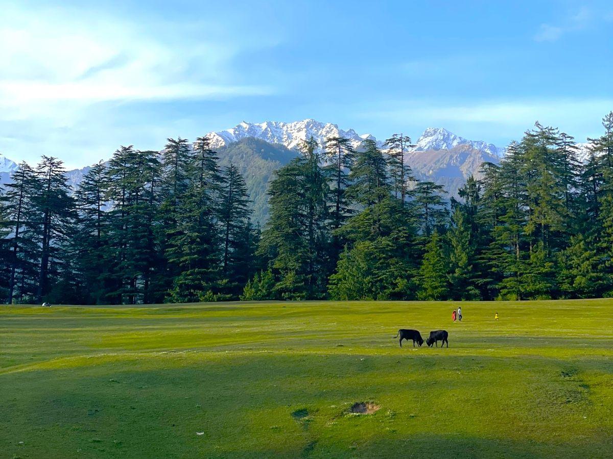 Top 10 Things to Do in Jibhi, Himachal Pradesh