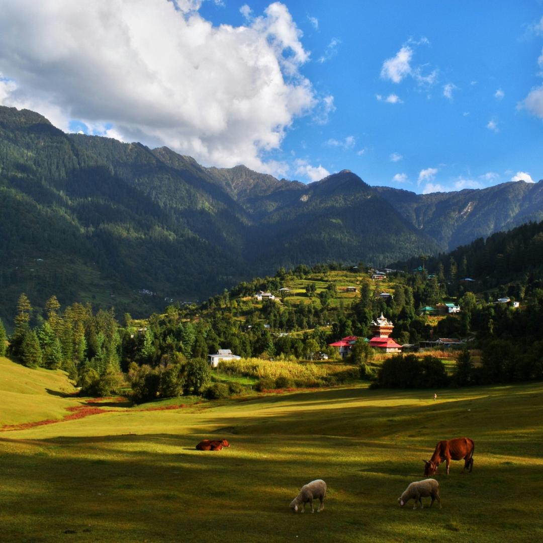 Explore Shangarh | Stay at The Hosteller