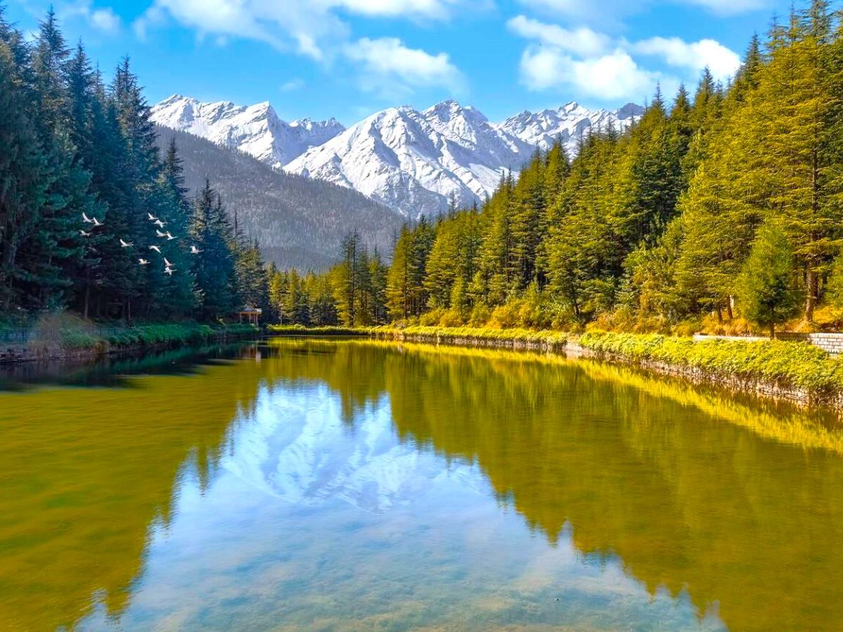 50 Things to do in Narkanda (Best time to visit, How to reach etc.)