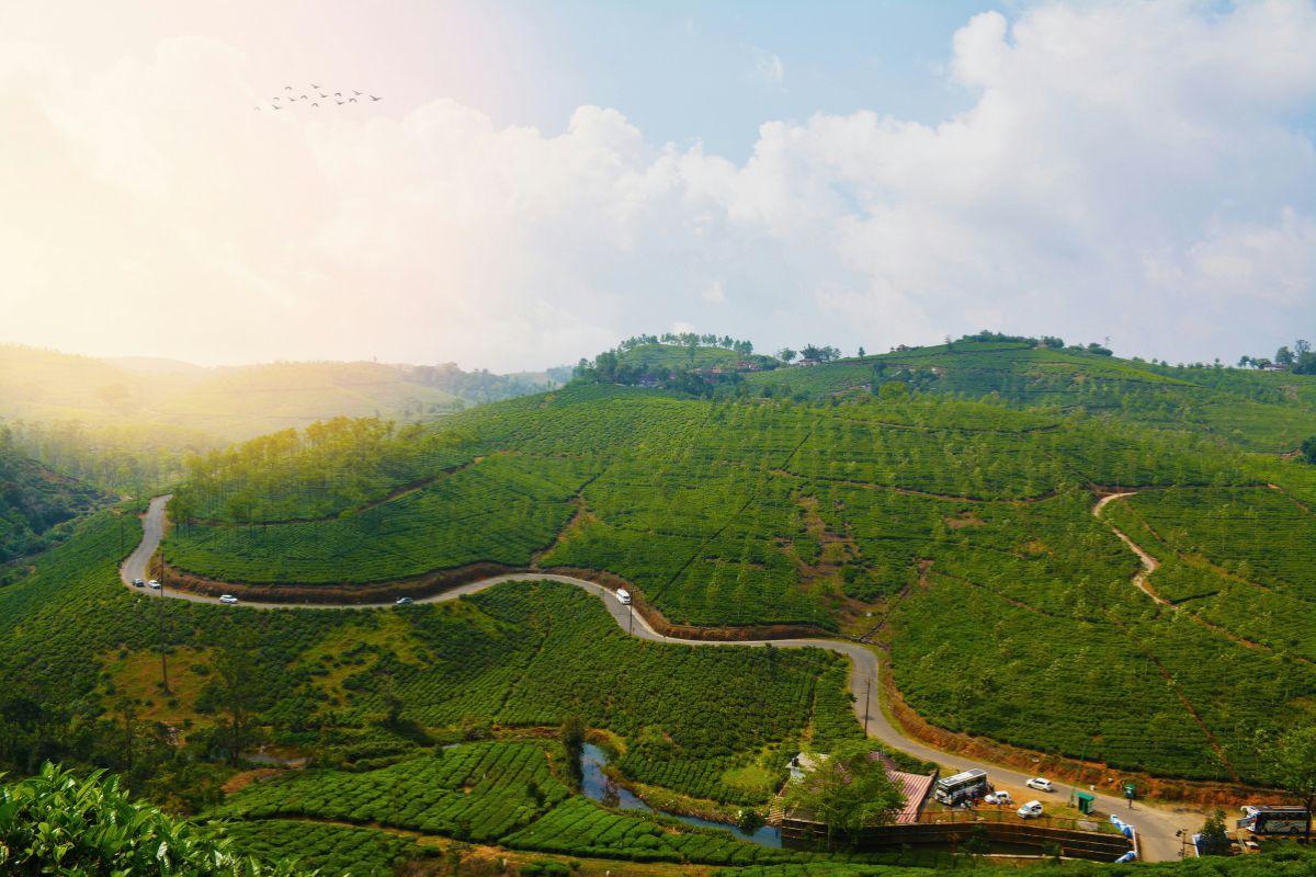 10 Best Things to Do in Vagamon, Kerala