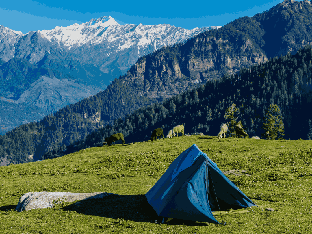 A weekend itinerary: How to spend 48 hours in Shangarh