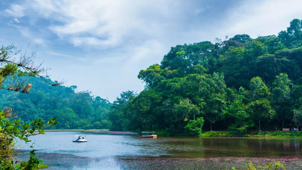 Exploring the wonders of Wayanad: 8 attractions to enjoy during the ...