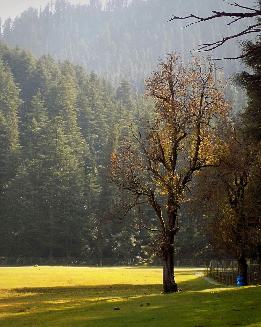 Explore Khajjiar | Stay at The Hosteller