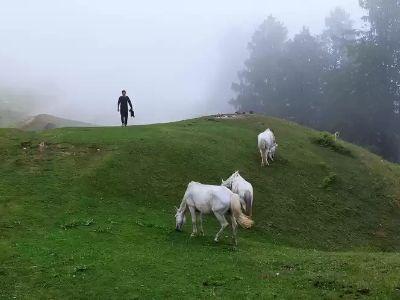 Explore Chakrata | Stay at The Hosteller