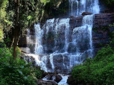 Explore Chikmagalur | Stay at The Hosteller