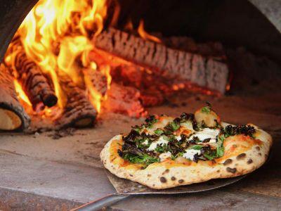 Explore Shimla | Stay at The Hosteller