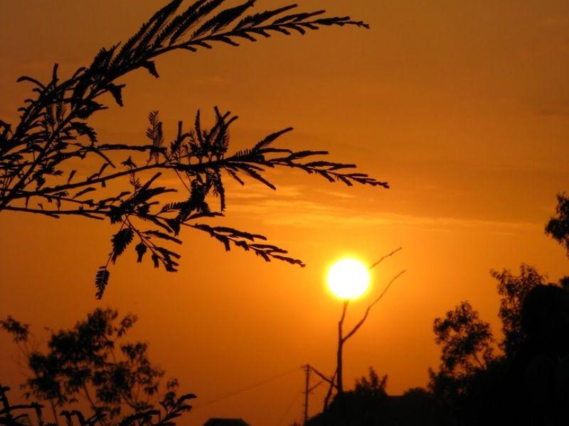 Explore Coorg | Stay at The Hosteller