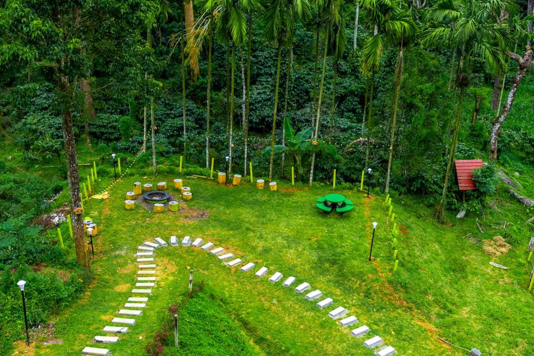 The Hosteller Coorg Rainforest Hostel Madikeri | Best Branded ...