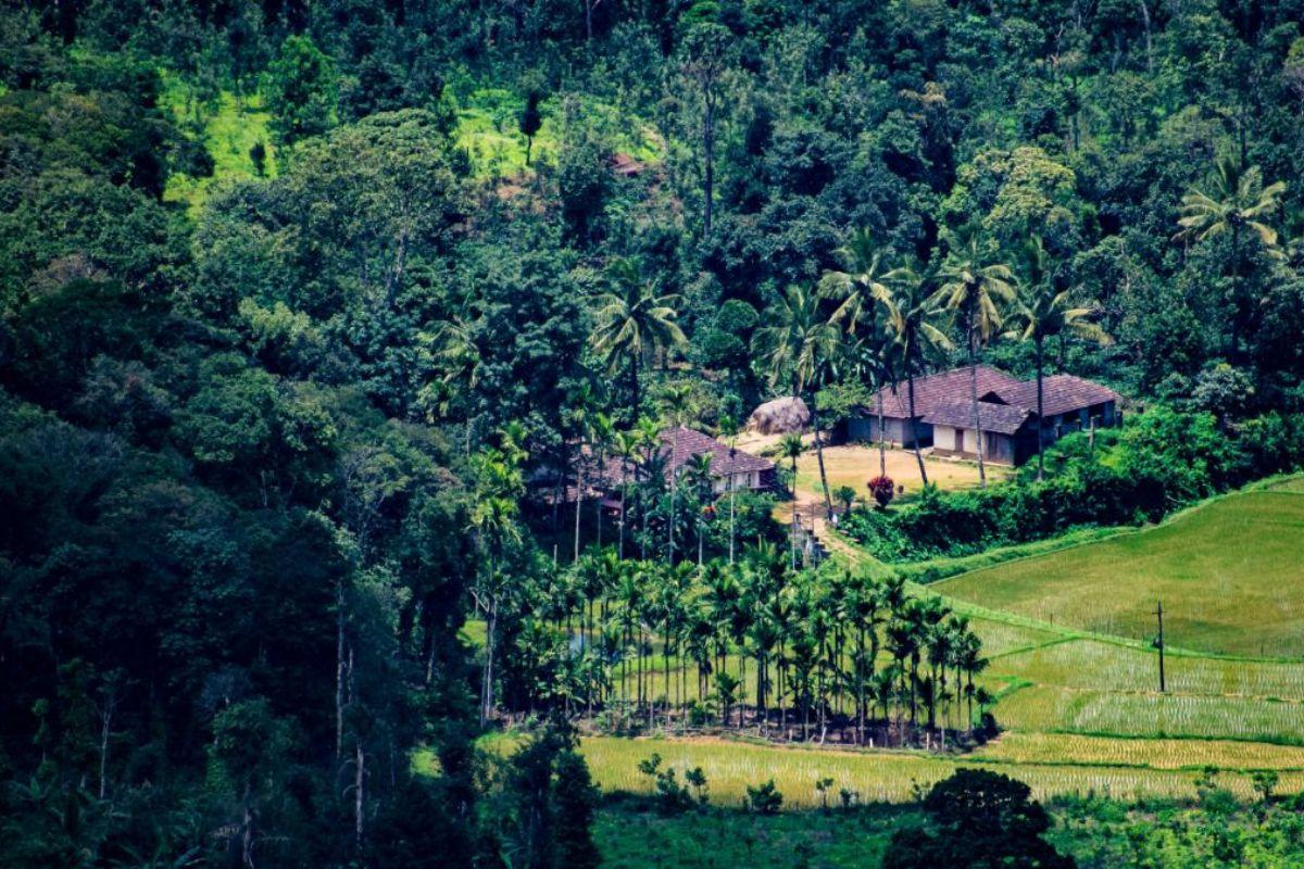 Embrace Coorg: 10 Curious Facts That Make It a Must-Visit in Karnataka ...
