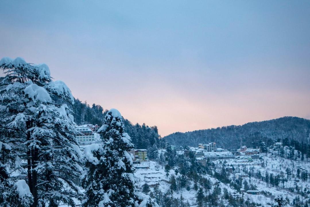 Hostels in Shimla | The Hosteller