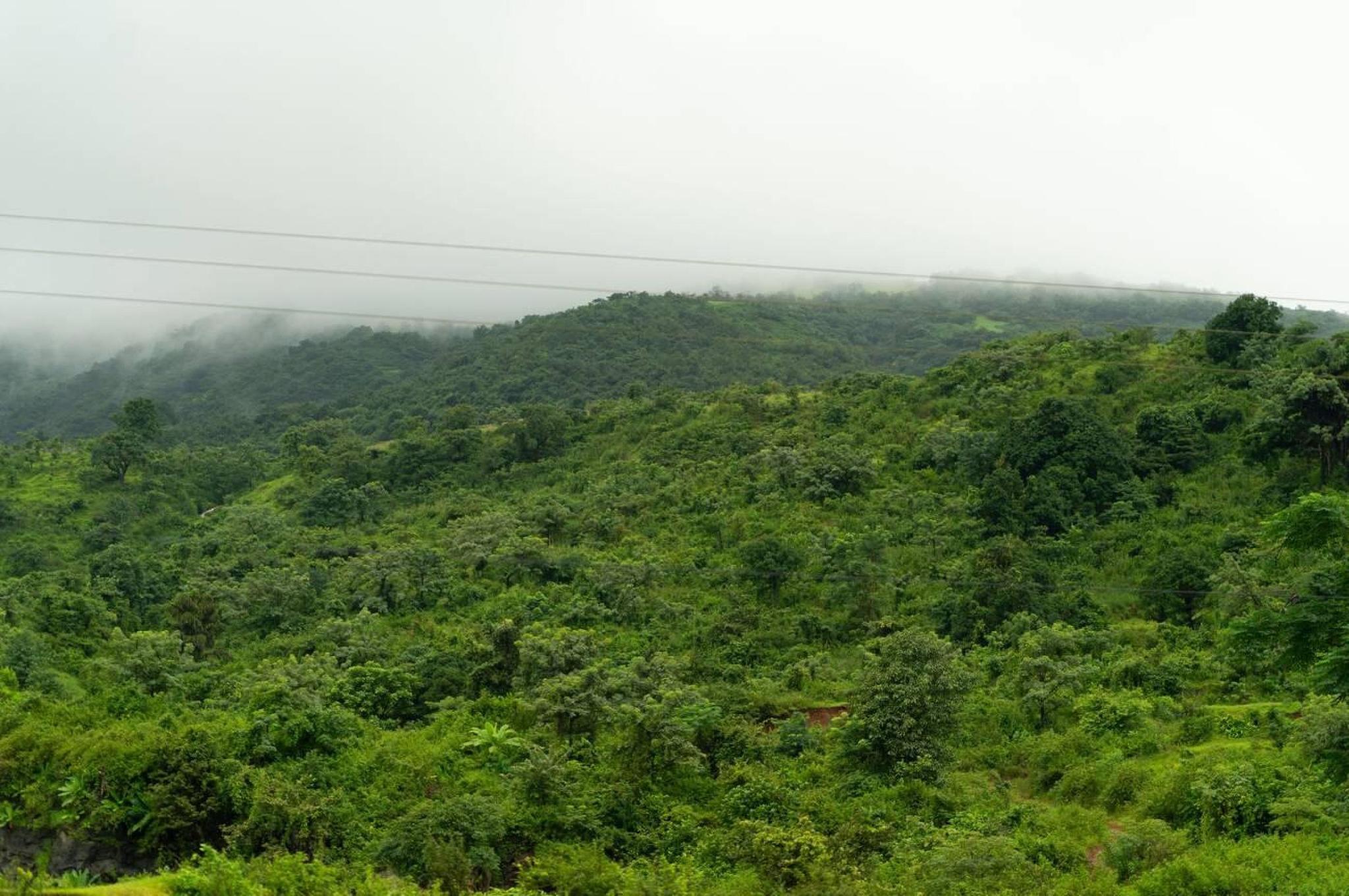 Hostels in Panshet | The Hosteller